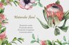 Watercolor floral (851275) | Elements | Design Bundles