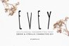 EVEY Handcrafted Multilingual Font (41470) | Handwritten | Font Bundles