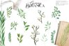 Greenery Botanical art set (426762) | Illustrations | Design Bundles