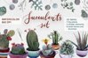 Succulents set (714130) | Decorations | Design Bundles