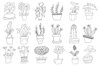 Hand Drawn Doodle Potted Plants Cliparts (560833) | Illustrations ...
