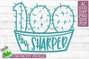 100 Days Sharper Cactus - 100th Day of School SVG (190361) | Cut Files ...