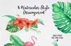 TROPICAL Watercolor clip art pack (53396) | Illustrations | Design Bundles