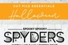 Halloween Spider font, an OTF file with spiderweb letters (885907 ...