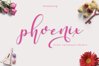 phoenix sweet calligraphy modern (13185) | Script | Font Bundles