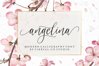 angelina - modern calligraphy font (498341) | Script | Font Bundles