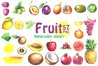 Watercolor Fruits Collection (88405) | Illustrations | Design Bundles