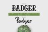 Badger Font Duo (42142) | Other | Font Bundles
