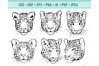 Leopard face Svg, Leopard SVG, Wildcat Svg, Dxf, Png, Eps (626278 ...