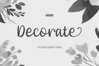 Decorate - Stylish Script Font (559930) | Handwritten | Font Bundles