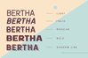 Bertha (85165) | Regular | Font Bundles