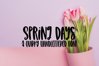 Spring Days - A Quirky Hand-Lettered Font