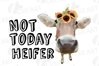 Not today Heifer printable decor graphic. Cow with sunflower (354398 ...