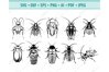Cockroach SVG, Cockroach Clipart, Insects Svg, Dxf, Png, Eps (521794 ...