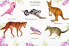 Animals Australia Watercolor (347866) | Illustrations | Design Bundles