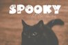Spooky - A Quirky Halloween Font (307193) | Regular | Font Bundles