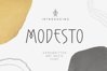 Modesto - Handwritten Art Deco Font (254502) | Other | Font Bundles