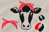 Cow Head whit Bandana SVG,cowboy SVG, western Farm Milk 814S (91194 ...