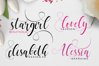 Delaney Script (49321) | Script | Font Bundles