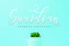 guardian SCRIPT (175520) | Script | Font Bundles