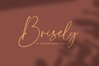 Brisely (472452) | Handwritten | Font Bundles