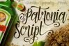 Patronia Script (292) | Handwritten | Font Bundles