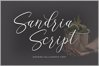 Sandria Script (150005) | Script | Font Bundles