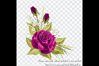 100 Wedding Roses Clip Arts, Romantic Valentine Scrapbook (134059 ...