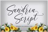 Sandria Script (150005) | Script | Font Bundles