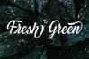 White Smith (378276) | Calligraphy | Font Bundles