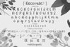 Decorate - Stylish Script Font (559930) | Handwritten | Font Bundles