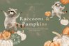 Hand drawn Graphics Raccoons and pumpkins for Halloween (342524 ...