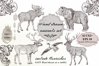 Collection of hand drawn engraved animals in vintage style (141495 ...