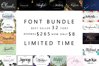 FONT BUNDLES COLECTION (46974) | Script | Font Bundles