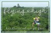 Flying High - a handlettered script font (347730) | Monoline | Font Bundles