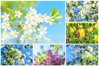Spring Flowers and Paintings Bundle (53431) | Nature | Design Bundles