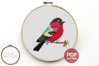 Red Robin Cross Stitch Pattern - Instant Download PDF (355193 ...