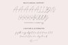 Juliette | Signature Font (917283) | Handwritten | Font Bundles