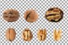 Nuts clip art pack, Watercolor nuts chart, food print (134672 ...