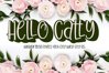 Hello Catty With extruded extras (591742) | Fancy | Font Bundles