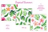 Tropical Summer (78550) | Illustrations | Design Bundles
