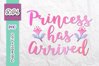 Princess Has Arrived Baby Girl Coming Home Sign Sublimation (562472 ...