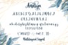 Ameliya (897602) | Handwritten | Font Bundles