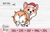 Christmas Corgi SVG cut file Cute Funny Dog Christmas Lights (961576 ...