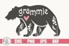 Grammie bear svg | Grandma svg (1191597) | Cut Files | Design Bundles