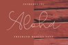 Aloha Script (54951) | Script | Font Bundles