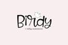 Birdy - A Quirky Handwritten Font (246924) | Regular | Font Bundles