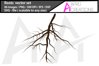 Roots silhouette / roots svg set (677965) | Illustrations | Design Bundles