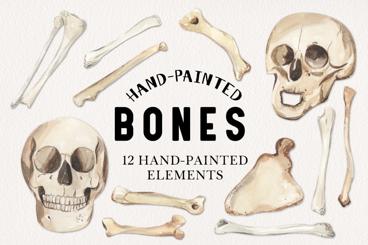 Bones Skull Crossbones Watercolor 12 Elements Bone