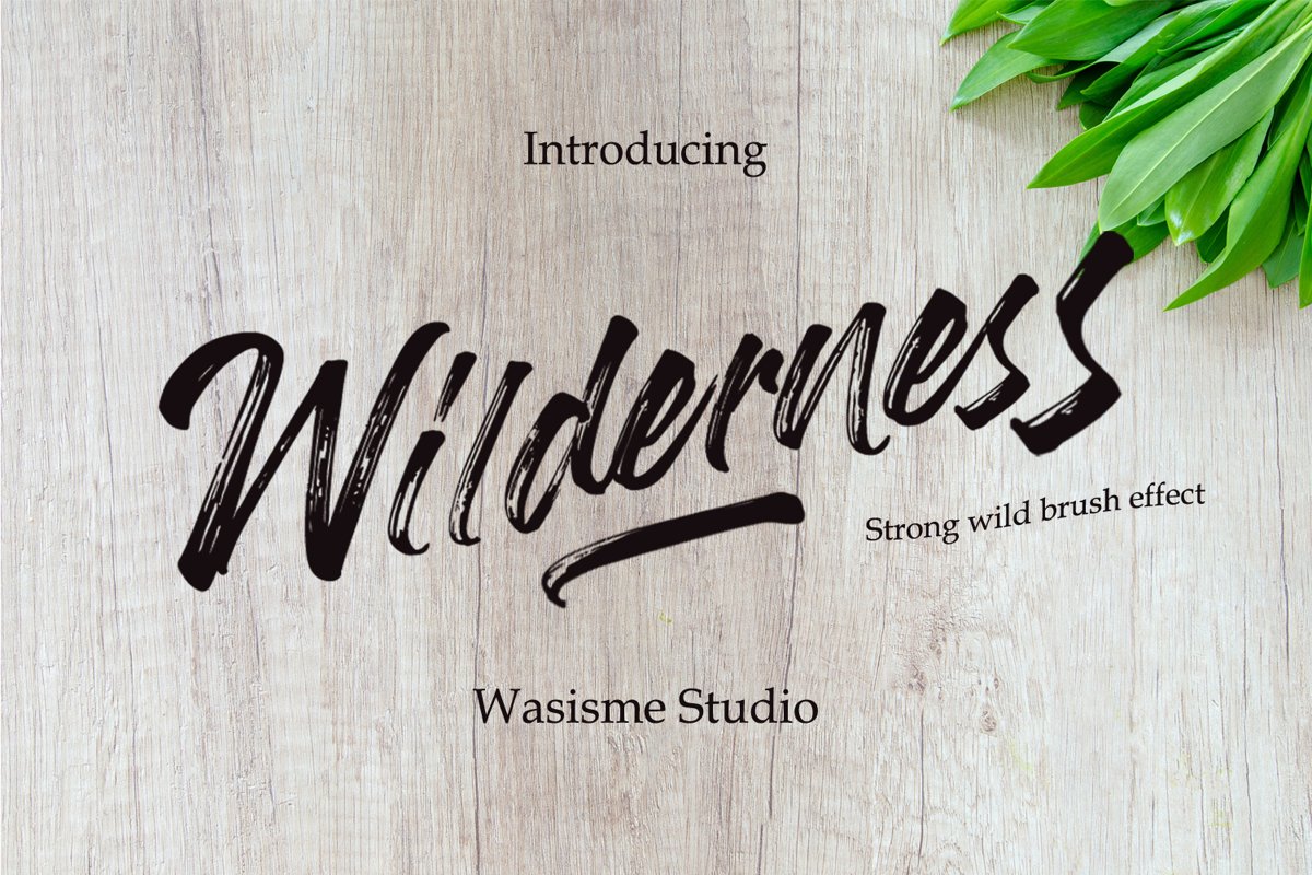 Wilderness (578234) | Brush | Font Bundles